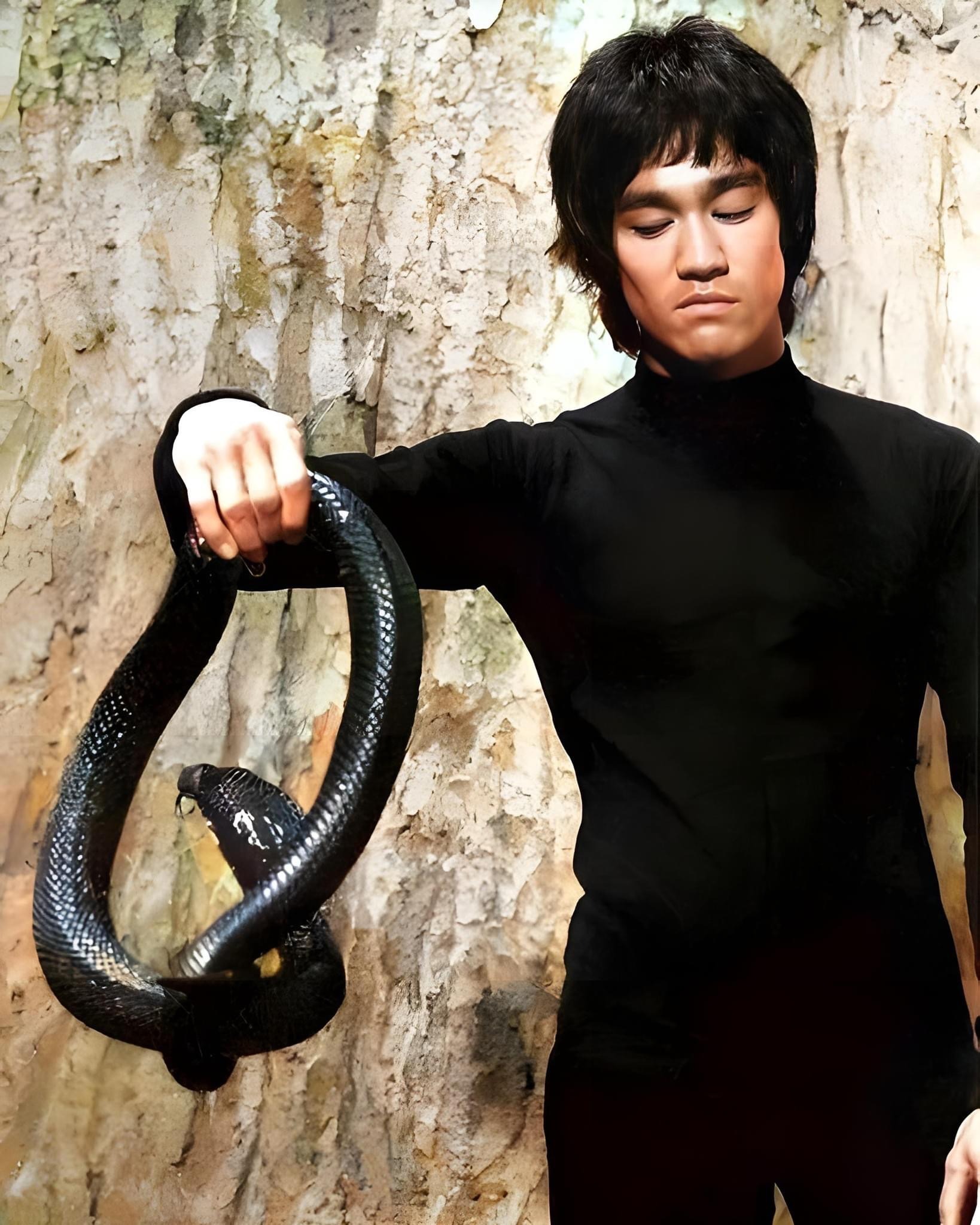 Bruce Lee – Der Legendäre Meister des Kampfsports - sportschuleasia.de